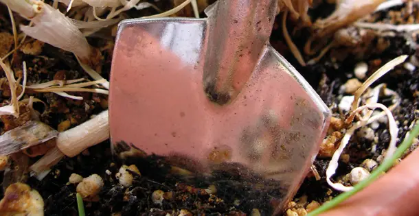 Gartenerde analysieren - ETM TESTMAGAZIN